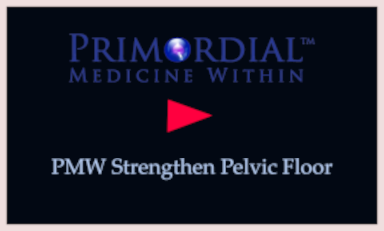Primordial Medicine Within – Primordial Medicine Within